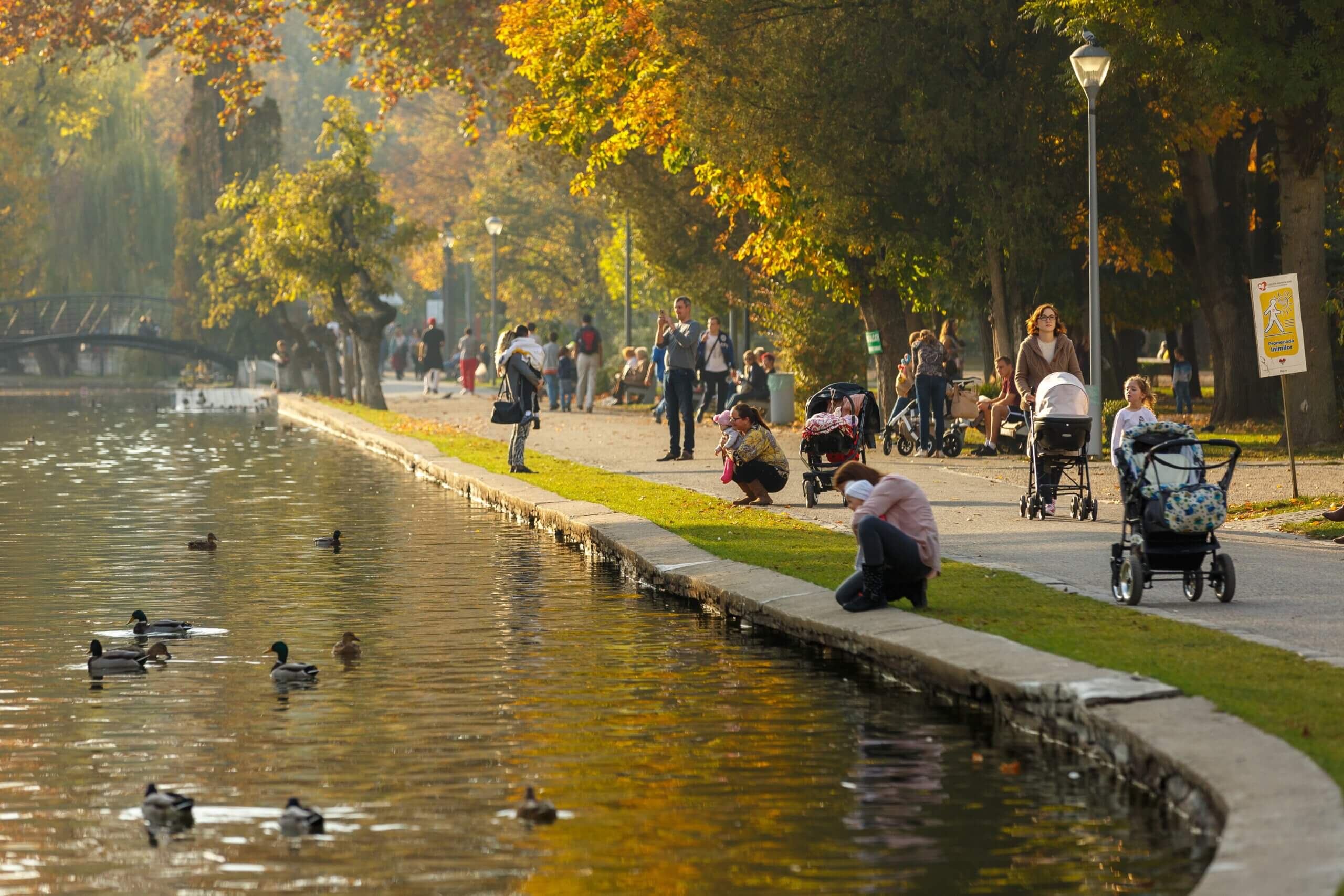 Parcul Central Simion Bărnuțiu – Clubul Copiilor